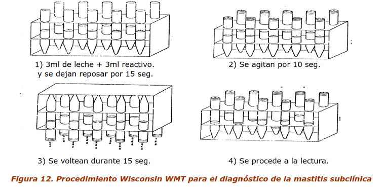 Mastitis bovina, Un enorme enemigo de la produccion de leche