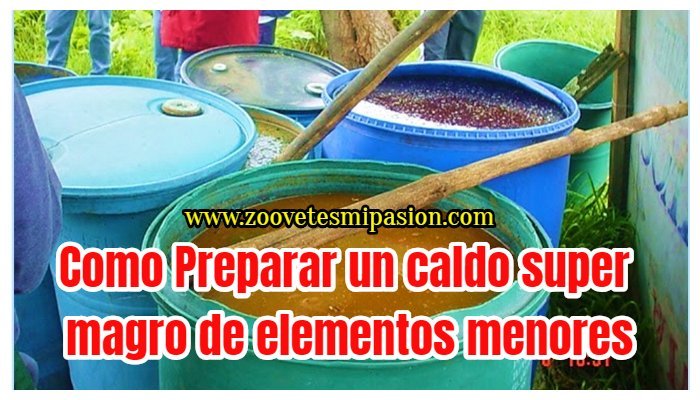 Como Preparar un caldo super magro de elementos menores