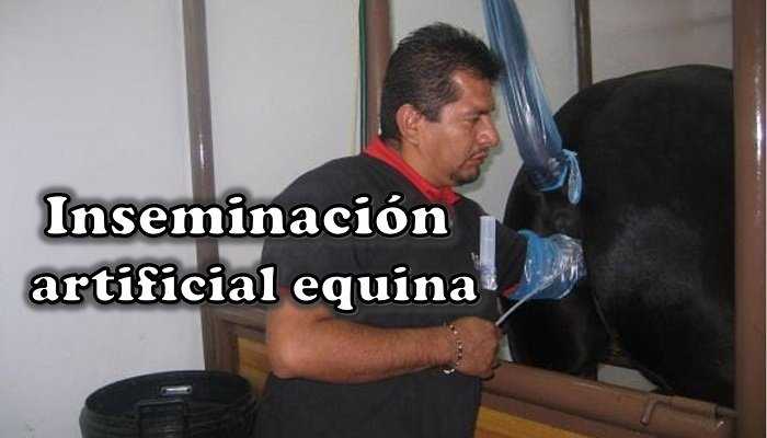 ?☄Inseminación artificial en yeguas ?☄