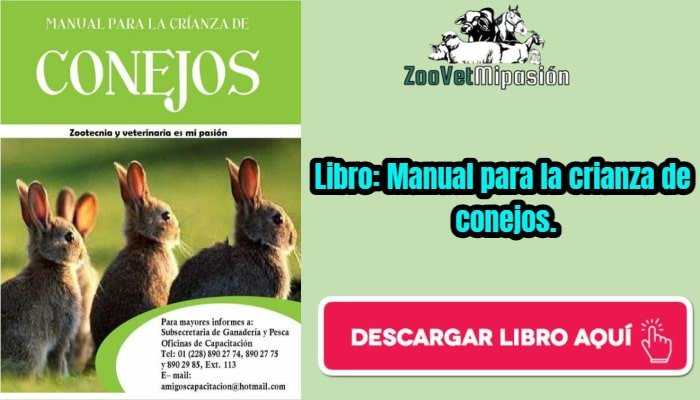 📚 Descarga Manual para la crianza de conejos en PDF Gratis