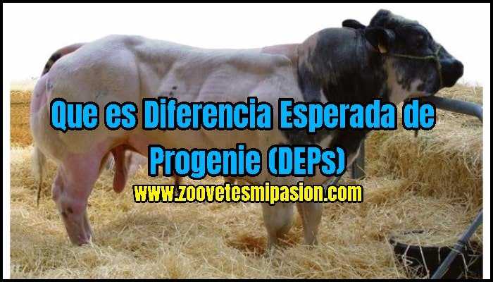 Que es Diferencia Esperada de Progenie (DEPs)