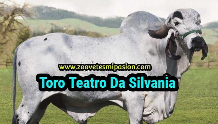 Toro Gyr Teatro Da Silvania y su clon Teatro II TN1 Silvania ...