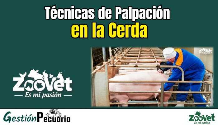 🐷 El parto de la Cerda