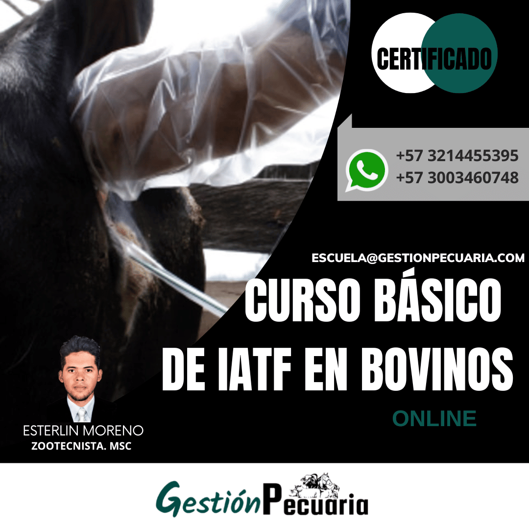 Curso basico Inseminación Artificial a Termino Fijo en Bovinos