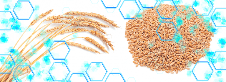 Digestibilidad de los Alimentos y como podemos medirla