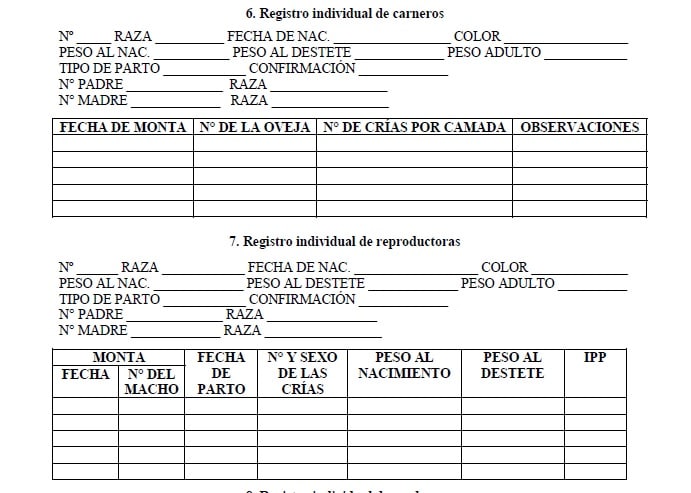 🐑 Manejo de los Ovinos - Zootecnia y Veterinaria es mi Pasión